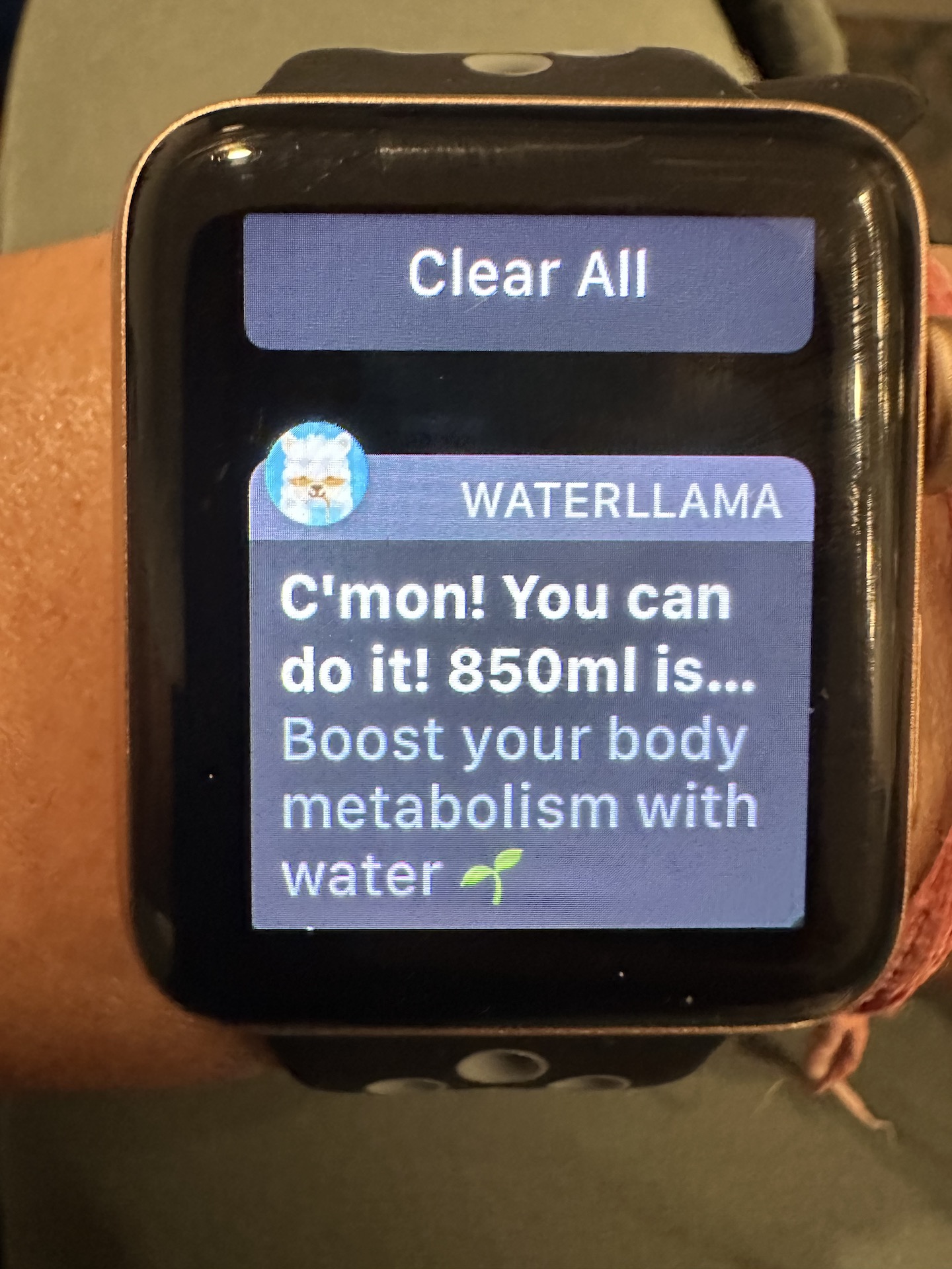 6 Types of Useful Smartwatch Interactions - NN/G