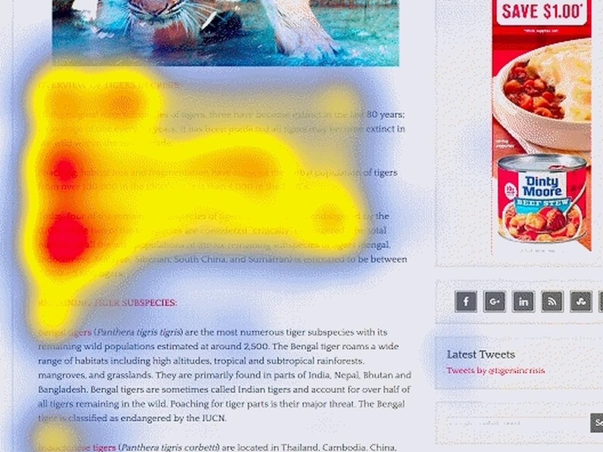 Usabiilty Testing and User Experience Research Consulting | NN/g - NN/G